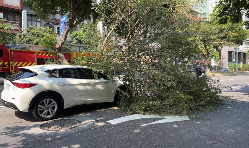 PLG陳世念開車遭北市倒塌路樹砸中 車損人無礙 – 芋傳媒 TaroNews