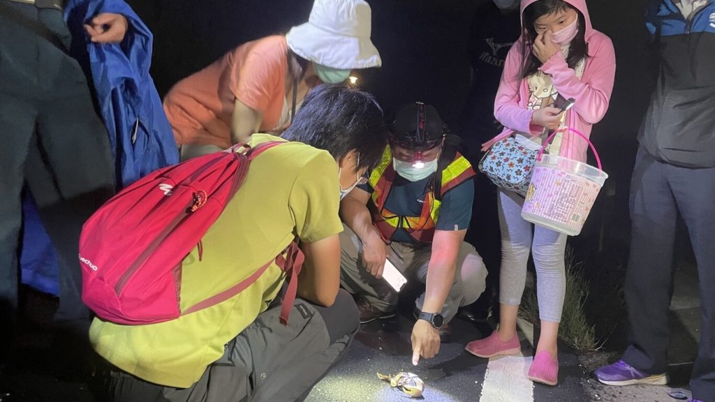 凶狠圓軸蟹繁殖高峰 曾文鹽水溪口護蟹近 7 千隻 – 芋傳媒 TaroNews