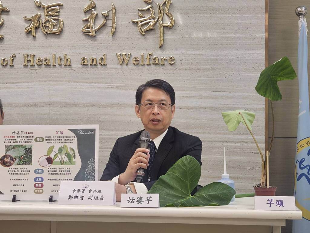 炒飯擺盤舖墊姑婆芋葉片 北部某飯店2顧客中毒 – 芋傳媒 TaroNews