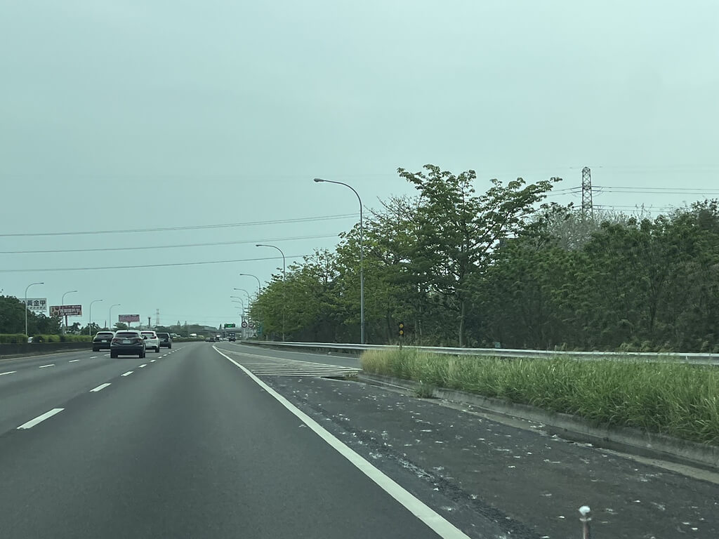 國1北斗路段木棉花絮滿天飛 國道警籲專心開車 – 芋傳媒 TaroNews