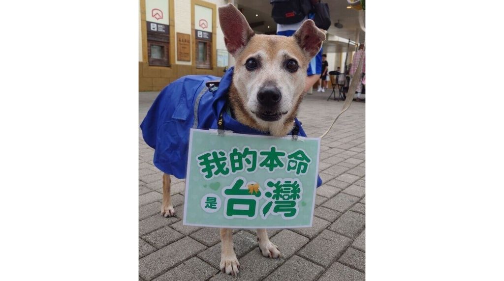 嘉義車站200人聲援公民搶救 舉牌表達訴求 – 芋傳媒 TaroNews