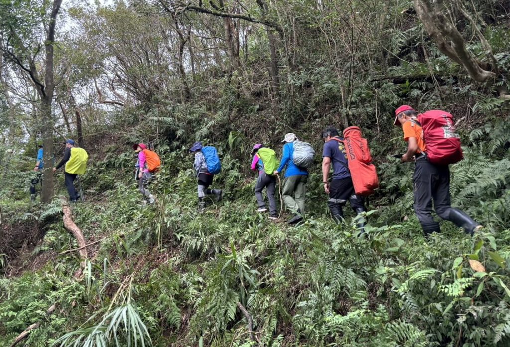 新北平溪千階嶺登山客遭蜂螫傷 6人就醫 – 芋傳媒 TaroNews