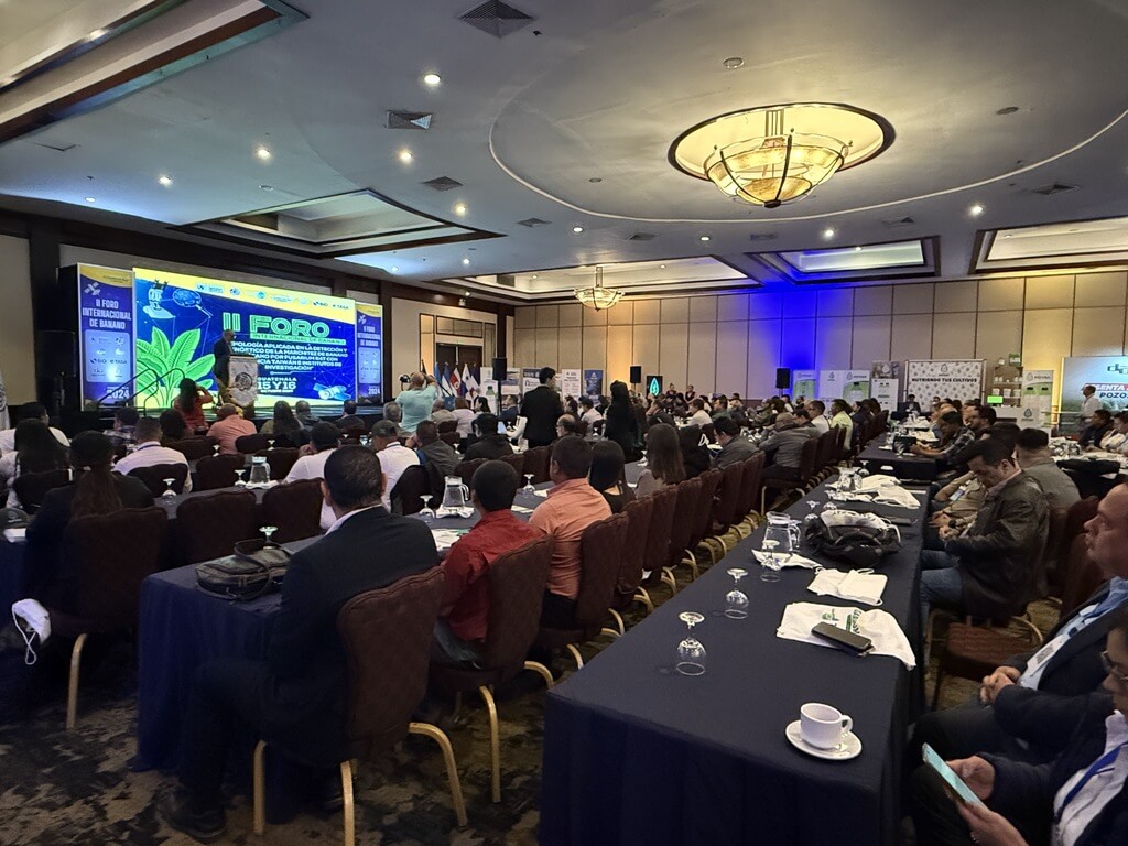 衛星遙測助友邦防治香蕉黃葉病 台灣創世界先例 – 芋傳媒 TaroNews