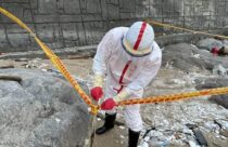 2025-10-25 – 第 3 頁 – 芋傳媒 TaroNews