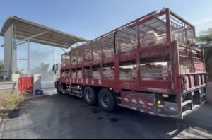 經部：豬肉攤商補助從寬認定 地方造冊就能申請 – 芋傳媒 TaroNews