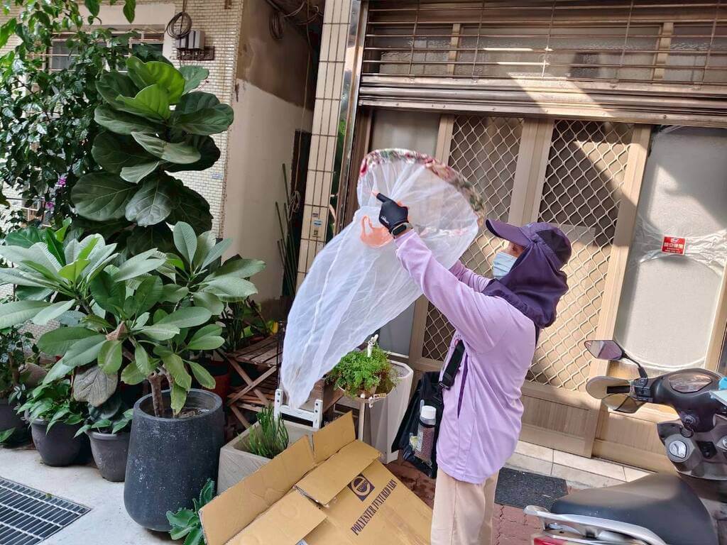 台南第17例登革熱境外移入 菲律賓男越南探親發病 – 芋傳媒 TaroNews