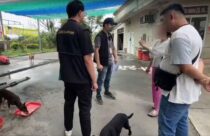 2025-11-20 – 第 6 頁 – 芋傳媒 TaroNews