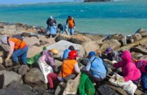 2025-11-22 – 第 6 頁 – 芋傳媒 TaroNews